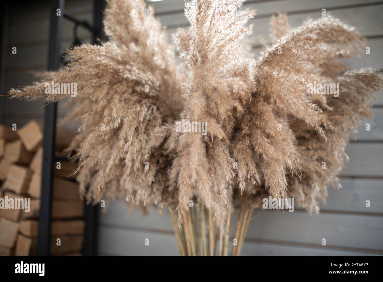 Boho style ornament hi-res stock photography and images - Alamy