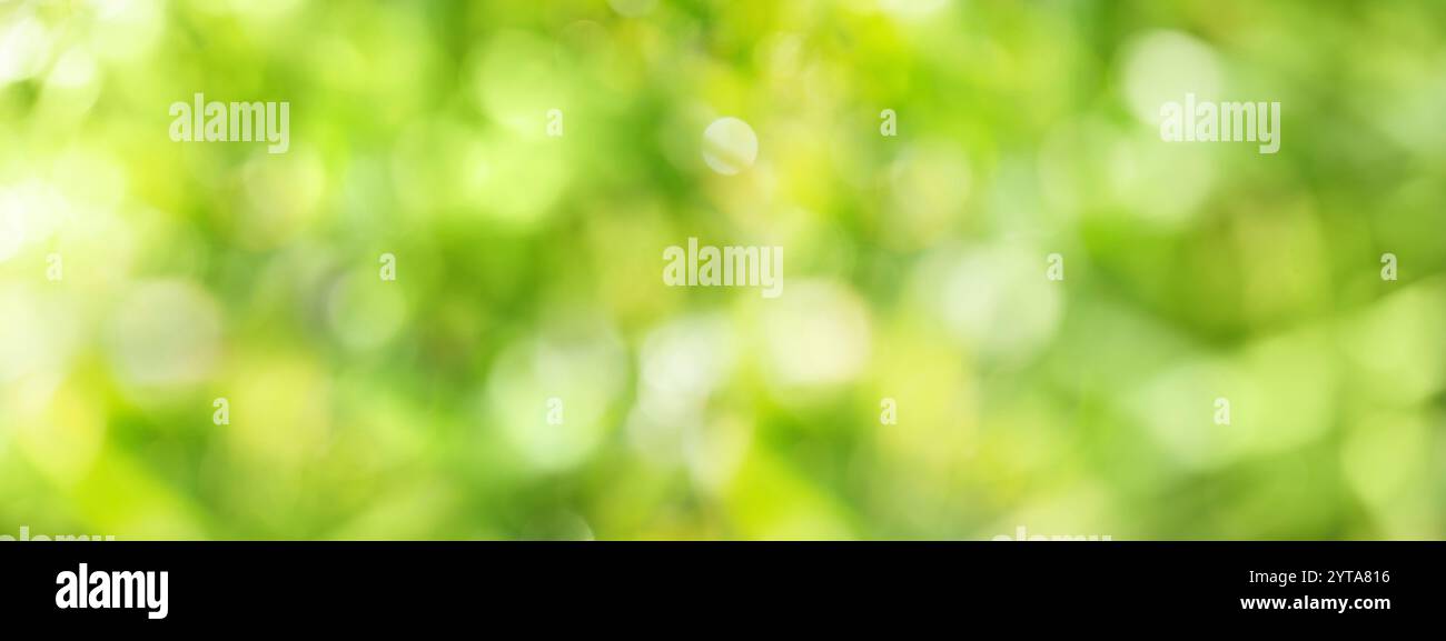 Pure green blur background abstract hi-res stock photography and images ...