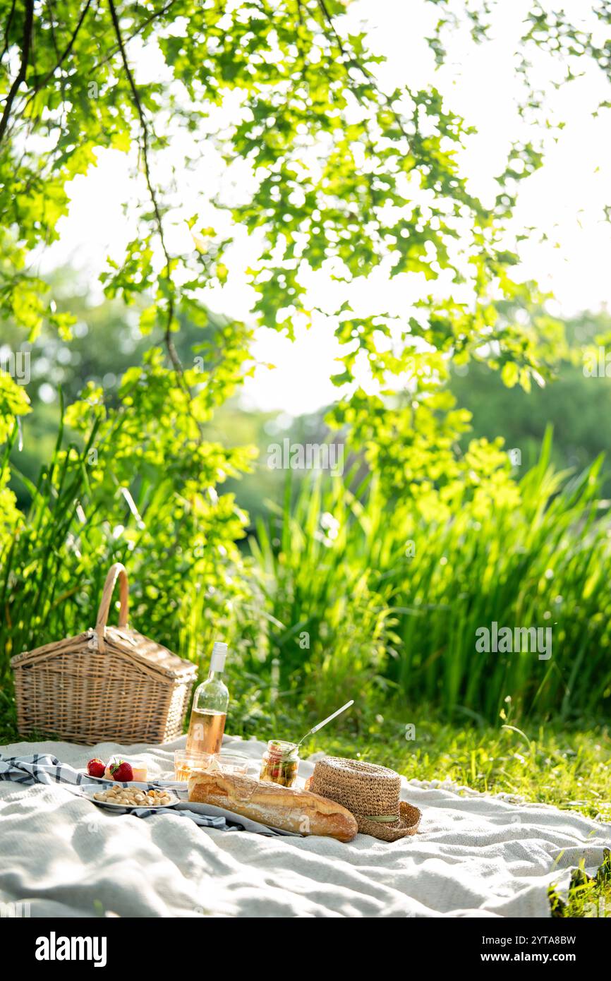 Summer picnic on blanket with delicious food and a bottle of rose wine ...