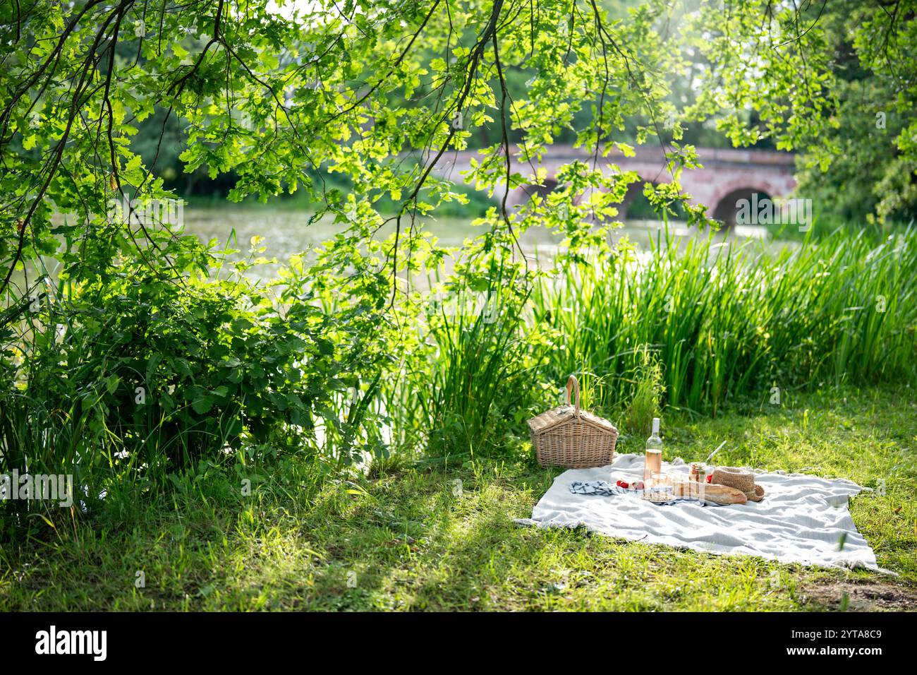 Summer picnic on blanket with delicious food and a bottle of rose wine ...