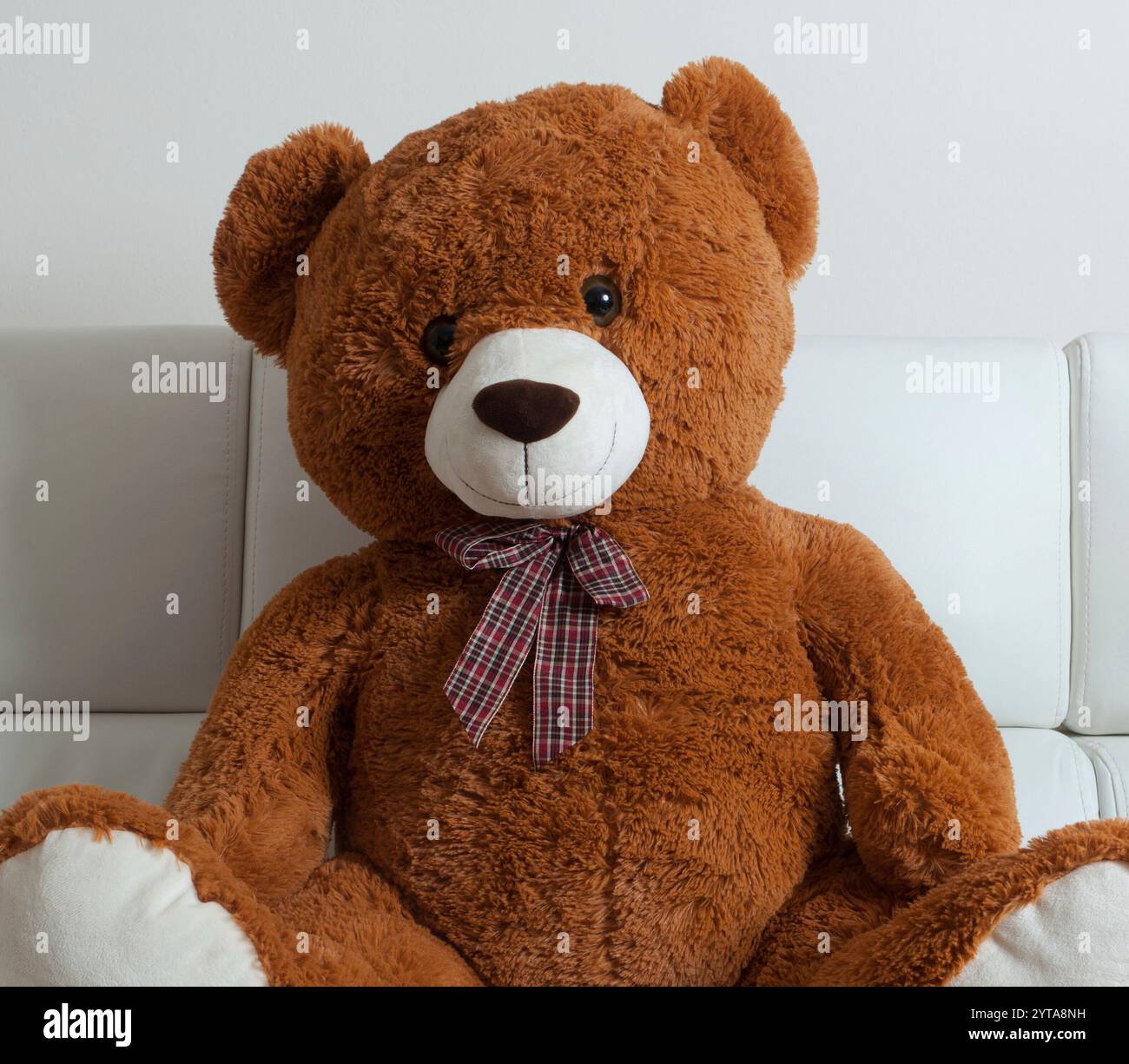 Adorable sitting teddy bear hi-res stock photography and images - Alamy