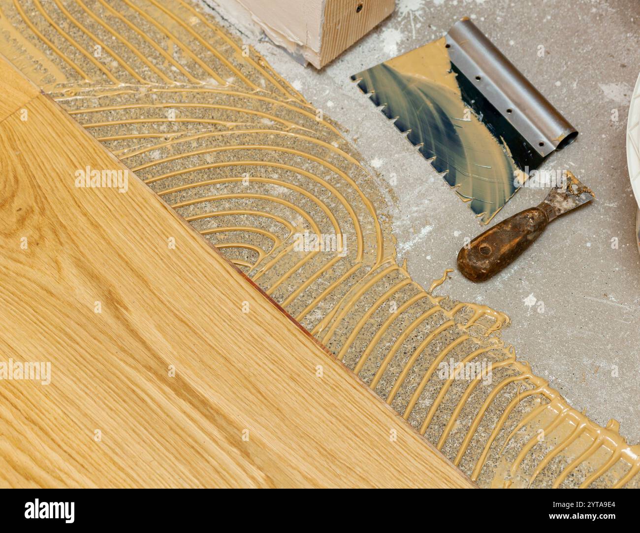 Parquet installation with gluing and professional tools Stock Photo - Alamy