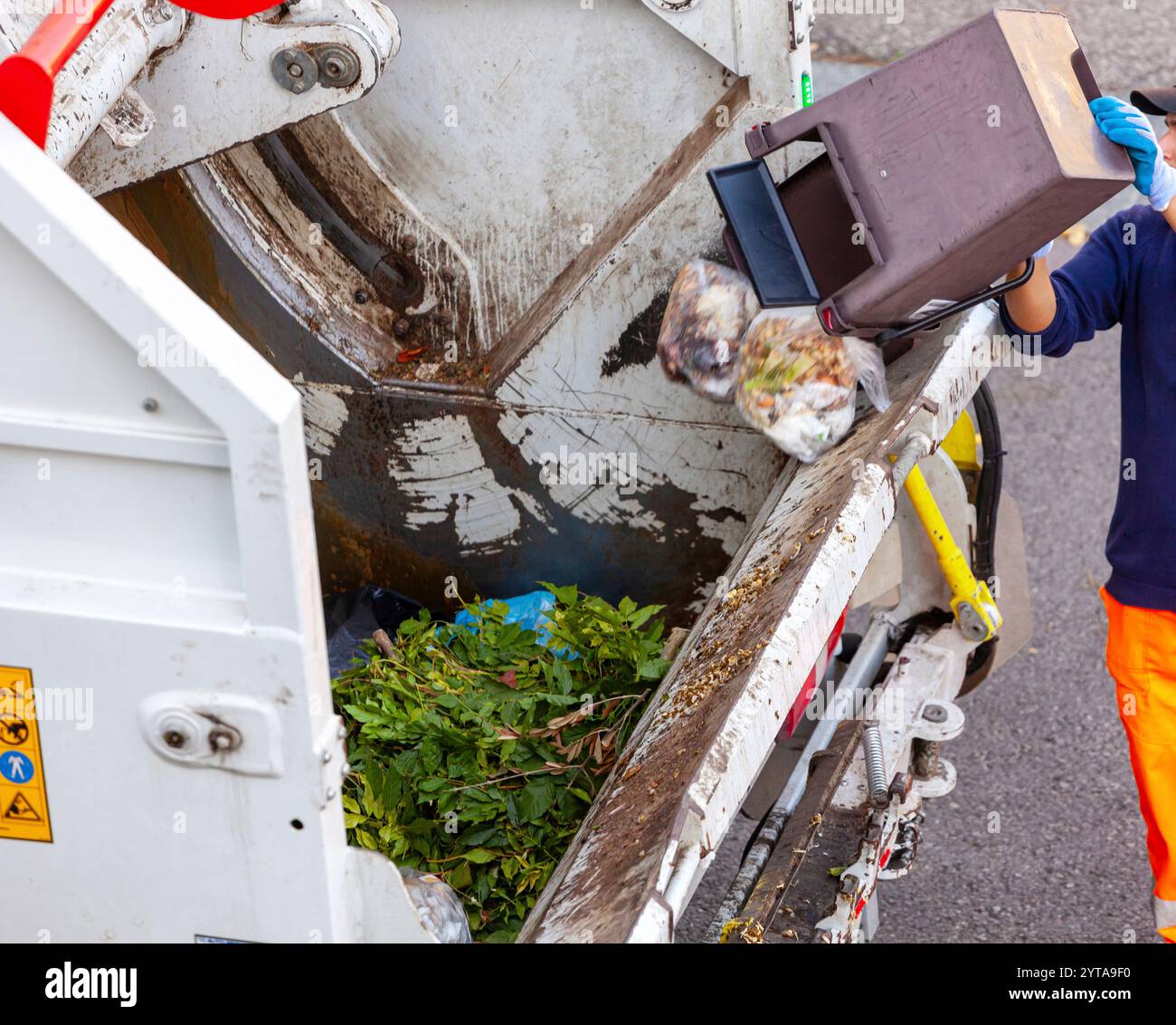 Ecological worker empties bucket of organic waste into garbage truck ...
