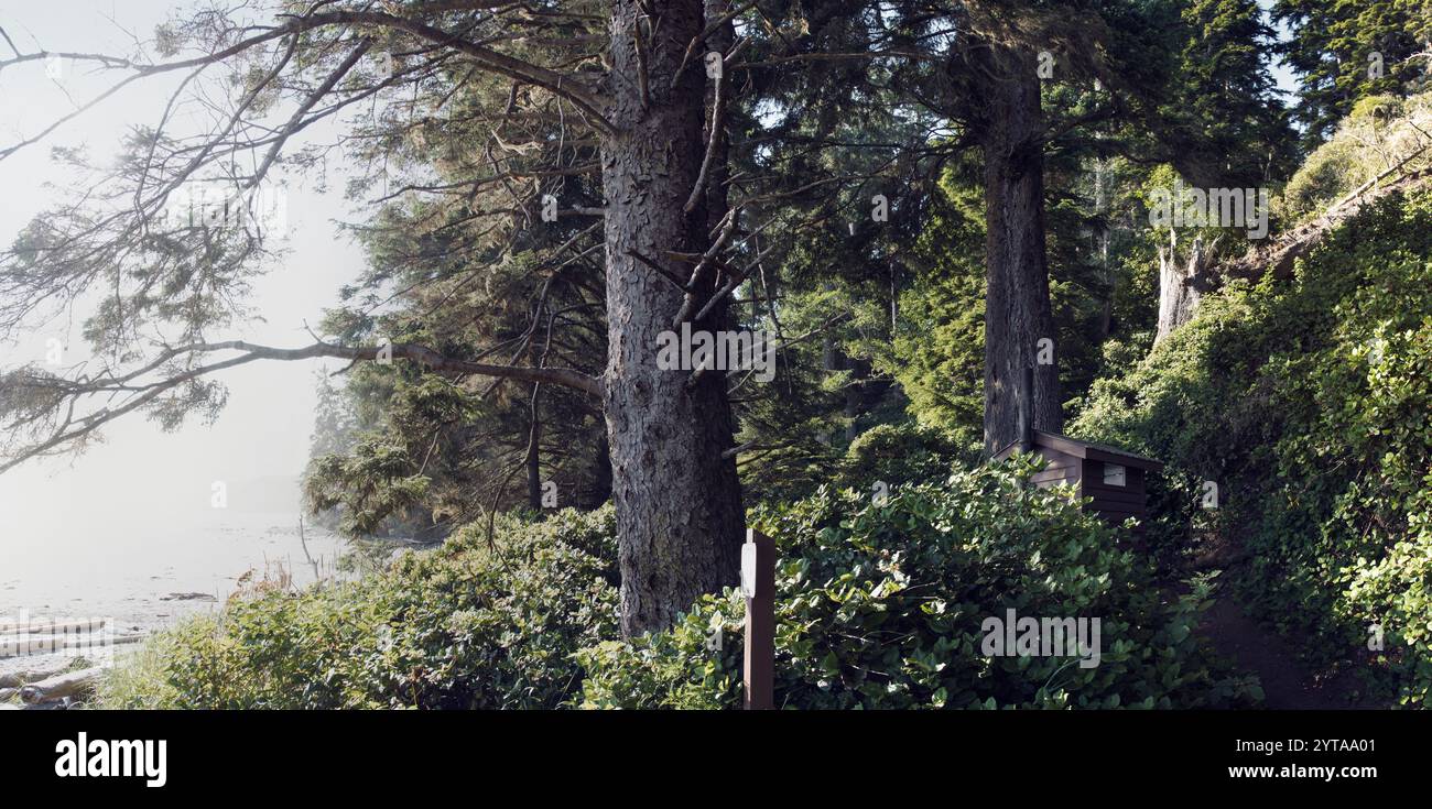 China beach hi-res stock photography and images - Alamy