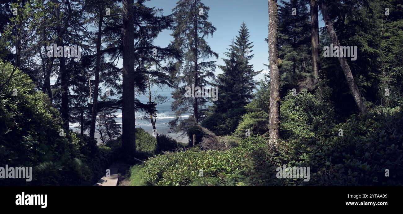 Coast at China Beach. Vancouver Island, Canada Stock Photo - Alamy
