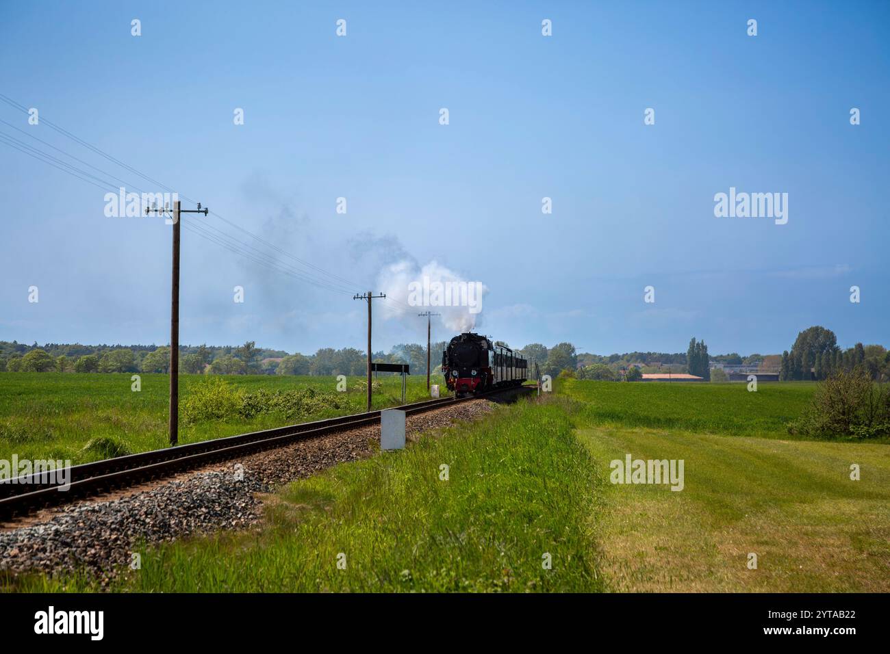 Steam locomotive with lots of white smoke runs through a meadow ...