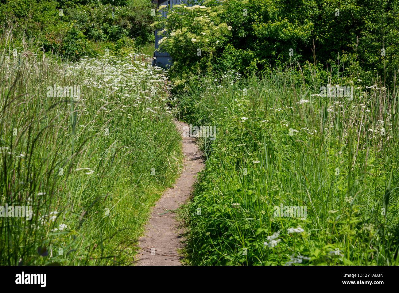 Walking narrow path through hi-res stock photography and images - Alamy