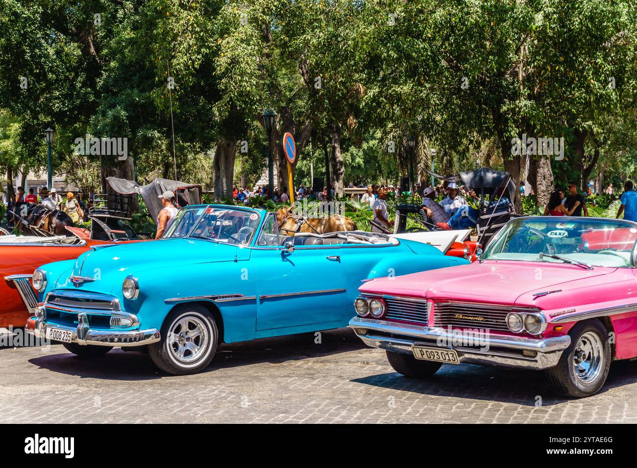 Two cars, one blue and one pink, are parked next to each other. The ...