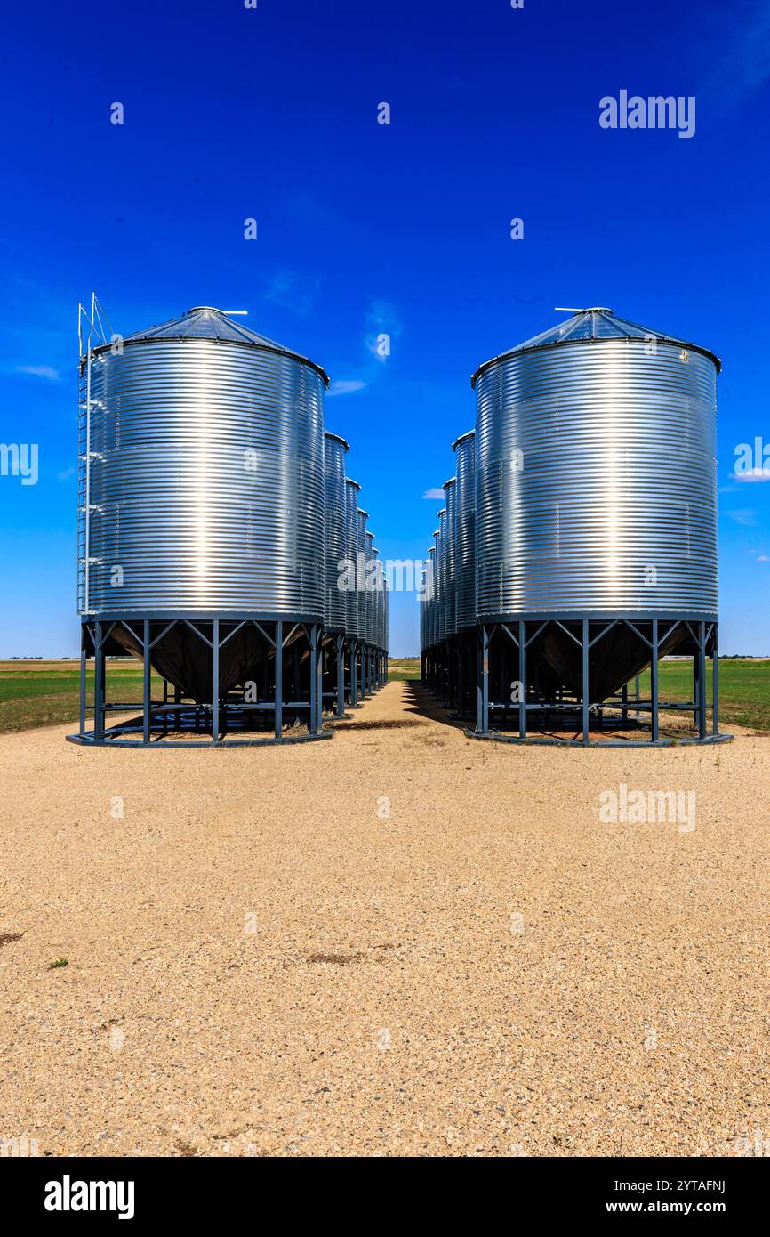 Two rows of large metal tanks are lined up in a field. The tanks are ...