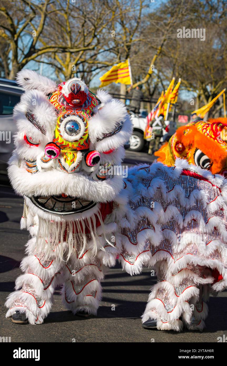 A white lion in a Tet, Lunar New Year parade. Tet is the most important ...