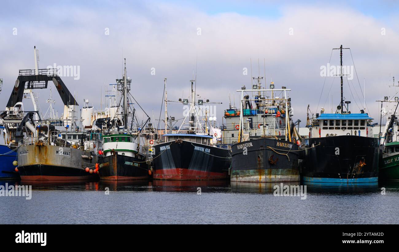Seattle - December 4, 2024; Commercial fishing boat bows docked at he ...