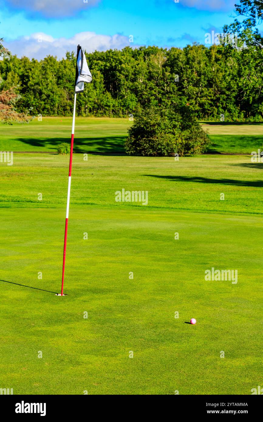 A golf course with a flag on a pole. The flag is white and red. The ...
