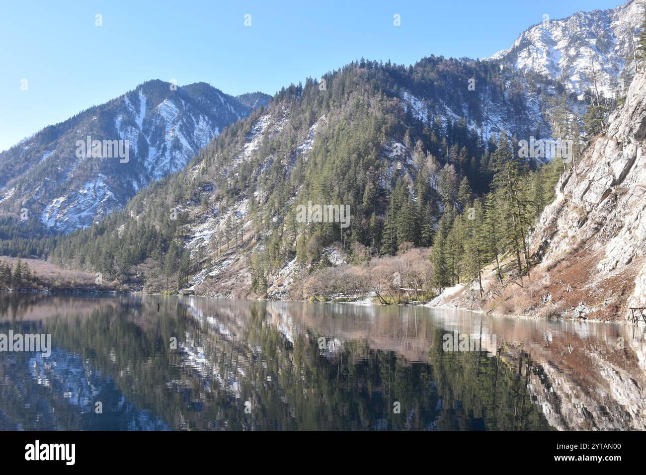 panda lake at Jiuzhaigou natural national park travel location in China ...
