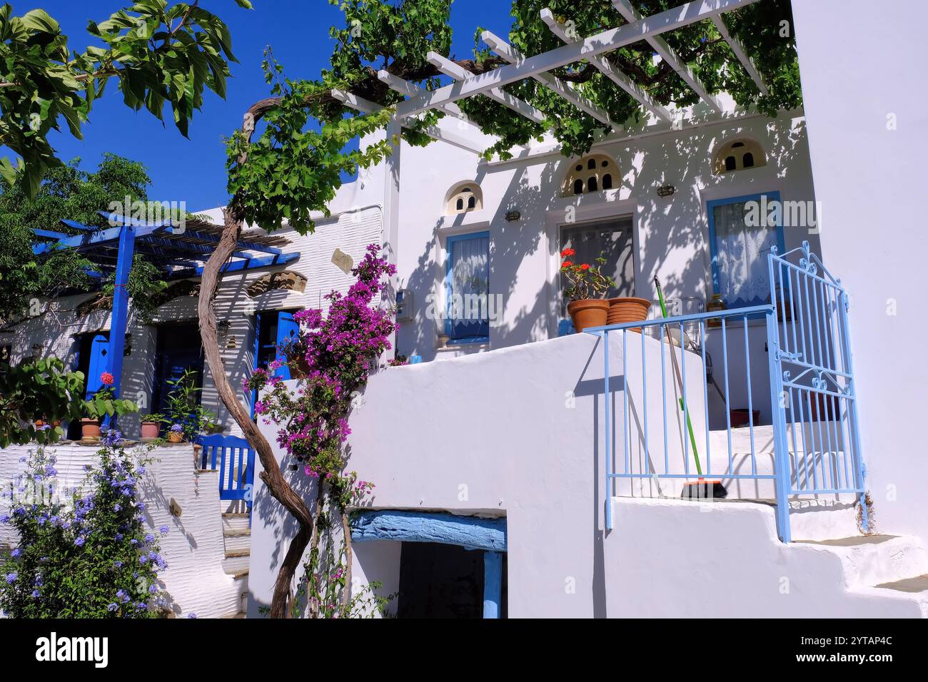 Tinos: Beautiful houses with grape vines and bougainvillea at Volax ...