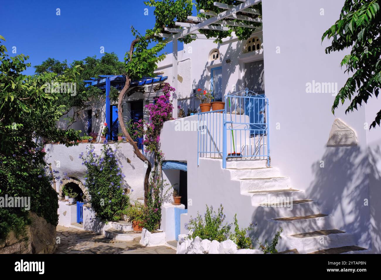 Tinos: Beautiful houses with grape vines and bougainvillea at Volax ...