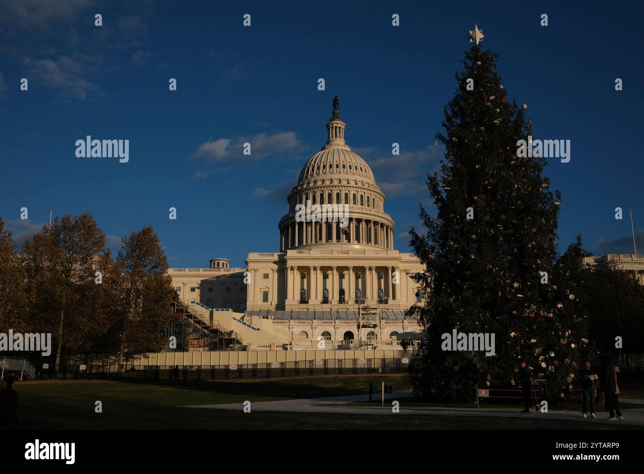 The Capitol Christmas tree is seen outside the US Capitol in Washington ...