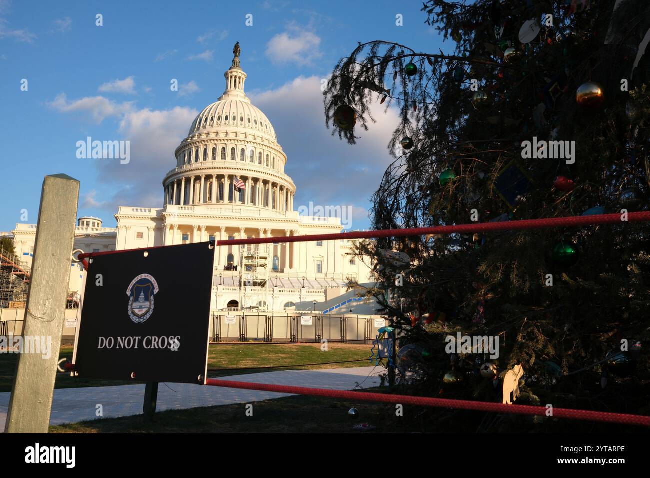 The Capitol Christmas tree is seen outside the US Capitol in Washington ...