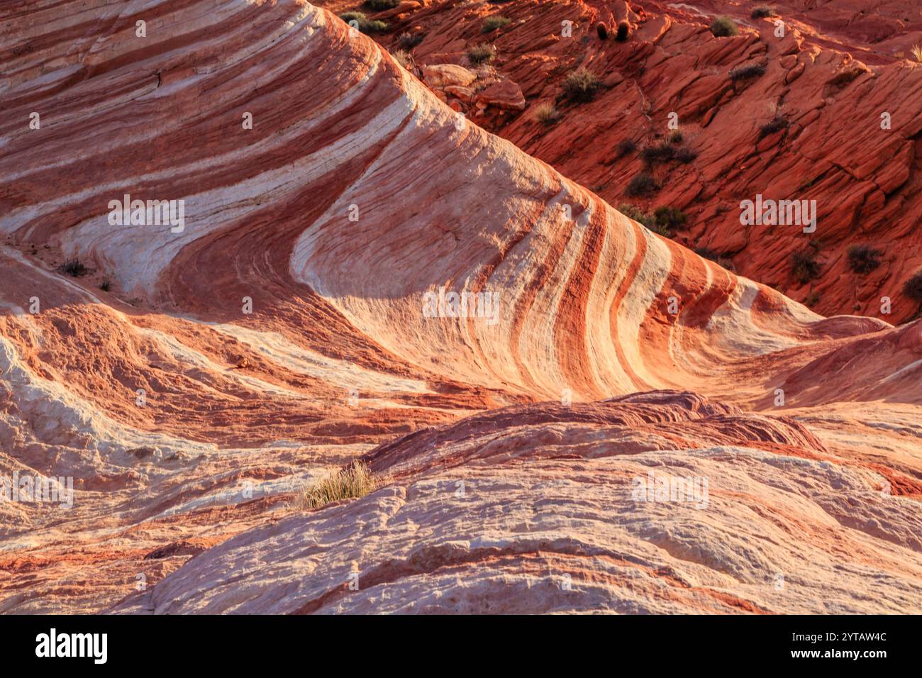 A rocky, red and white landscape with a lot of texture. The colors are ...