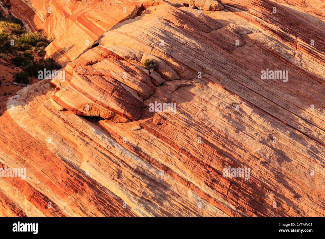 A rock formation with a plant growing out of it. The rock is red and ...