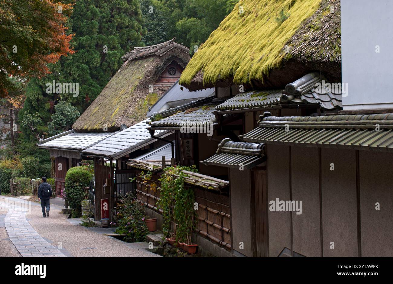 Historic thatched-roof farm houses line a narrow lane in the foothills ...
