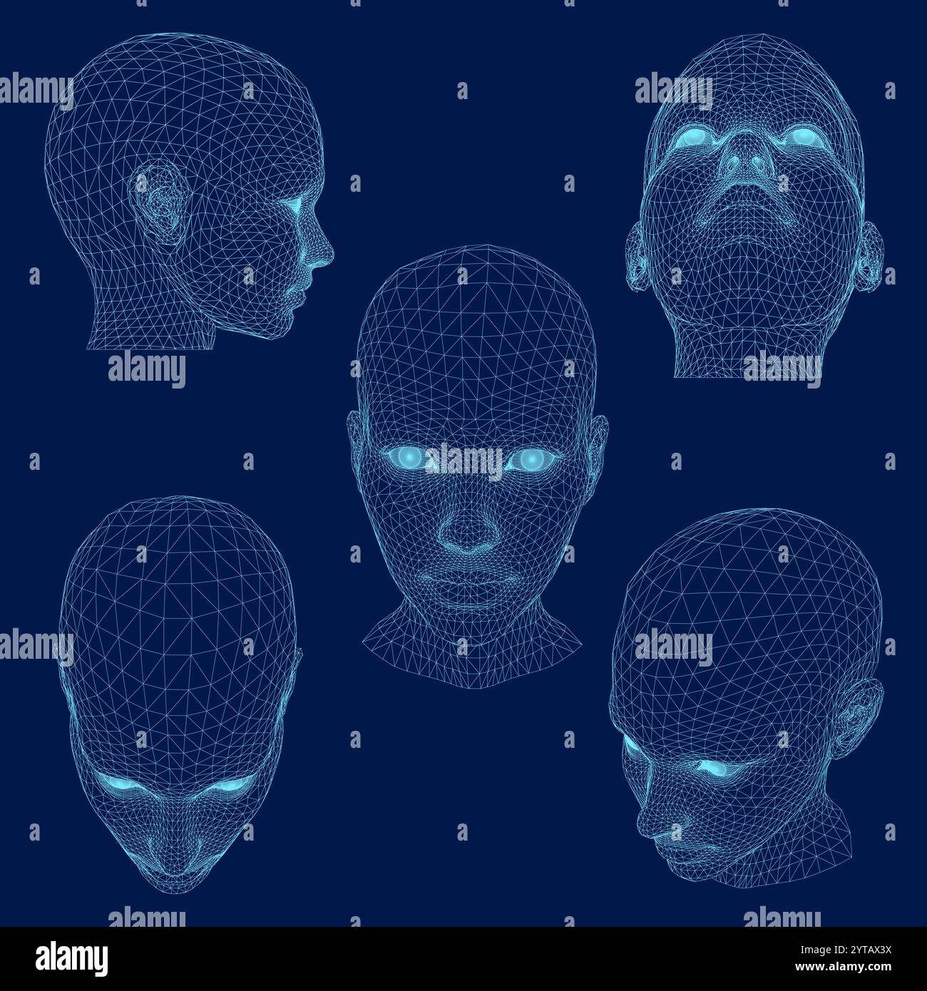 Set of 3D Female Polygon Wireframe Head. Vector illustration Stock ...