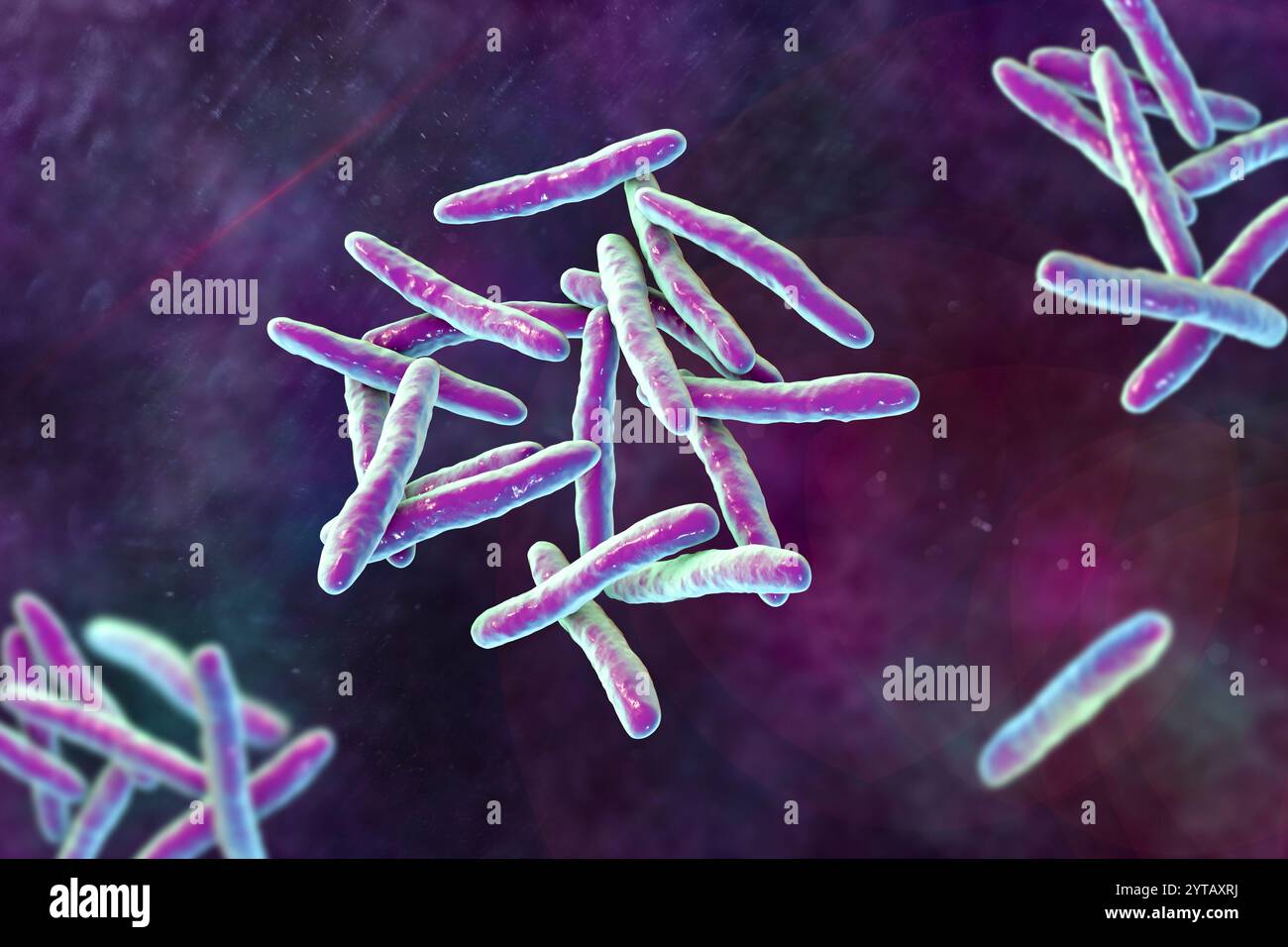 Computer illustration of Mycobacterium tuberculosis, the bacteria ...