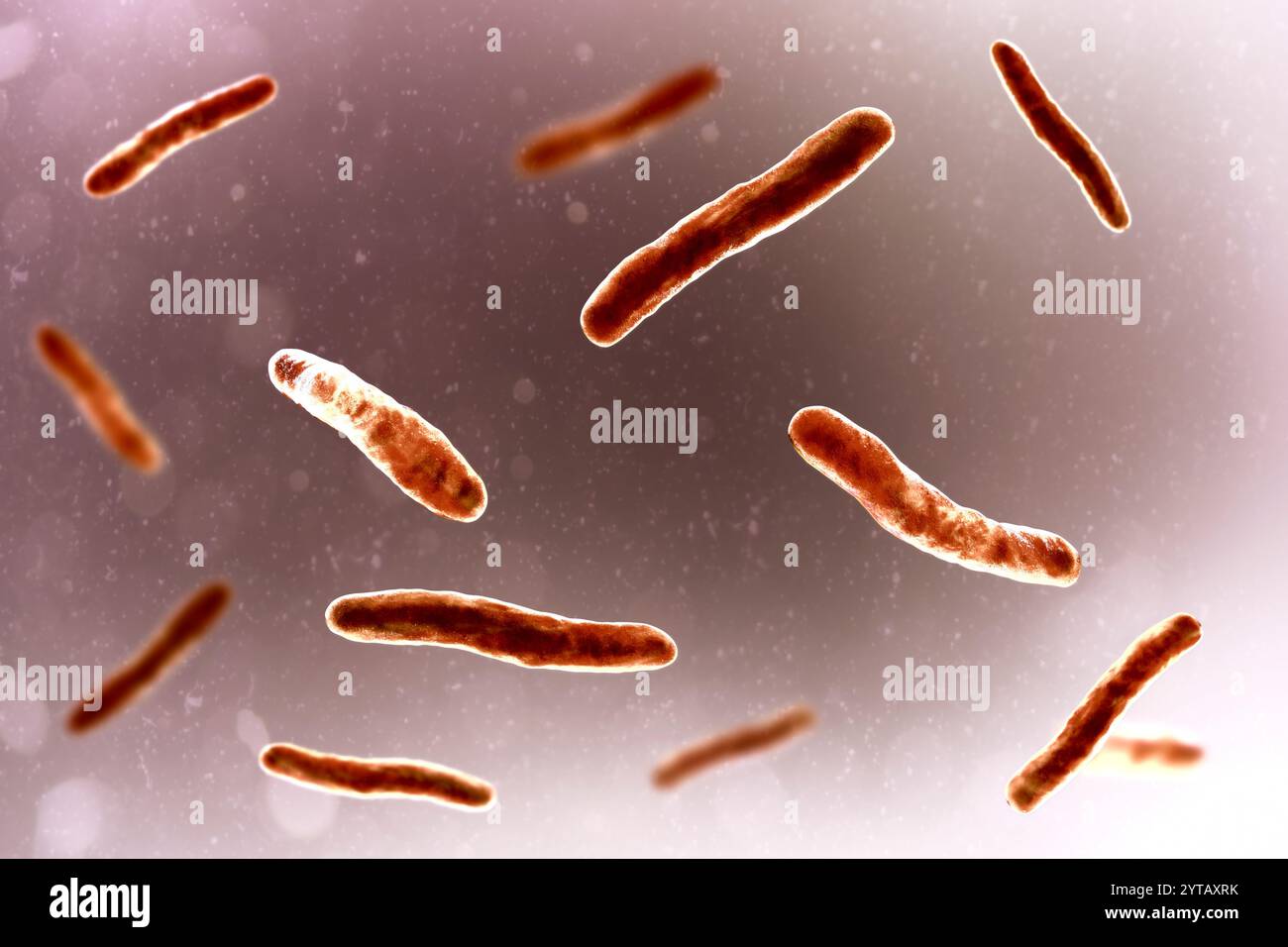 Computer illustration of Mycobacterium tuberculosis, the bacteria ...