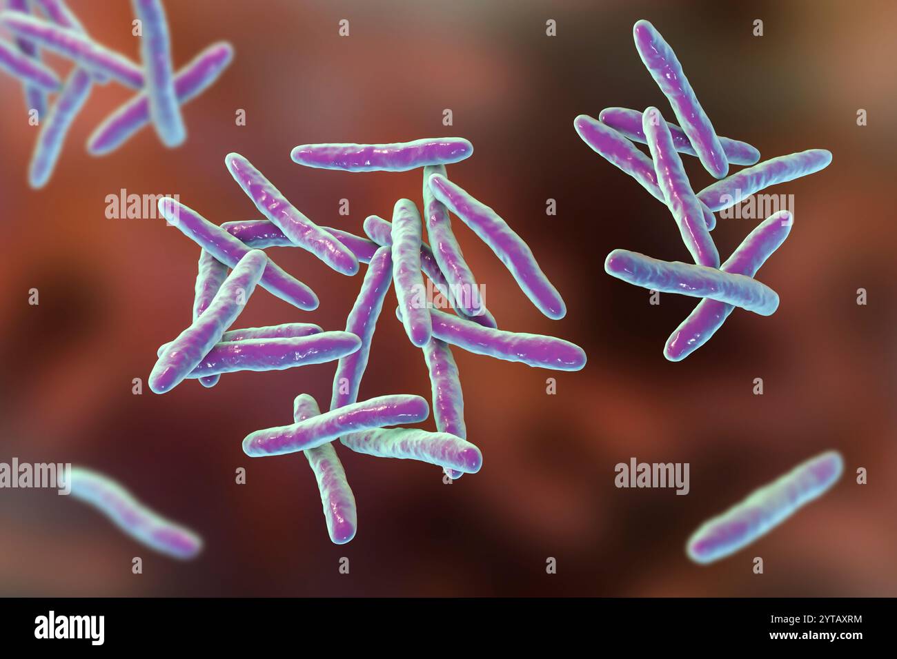 Computer illustration of Mycobacterium tuberculosis, the bacteria ...