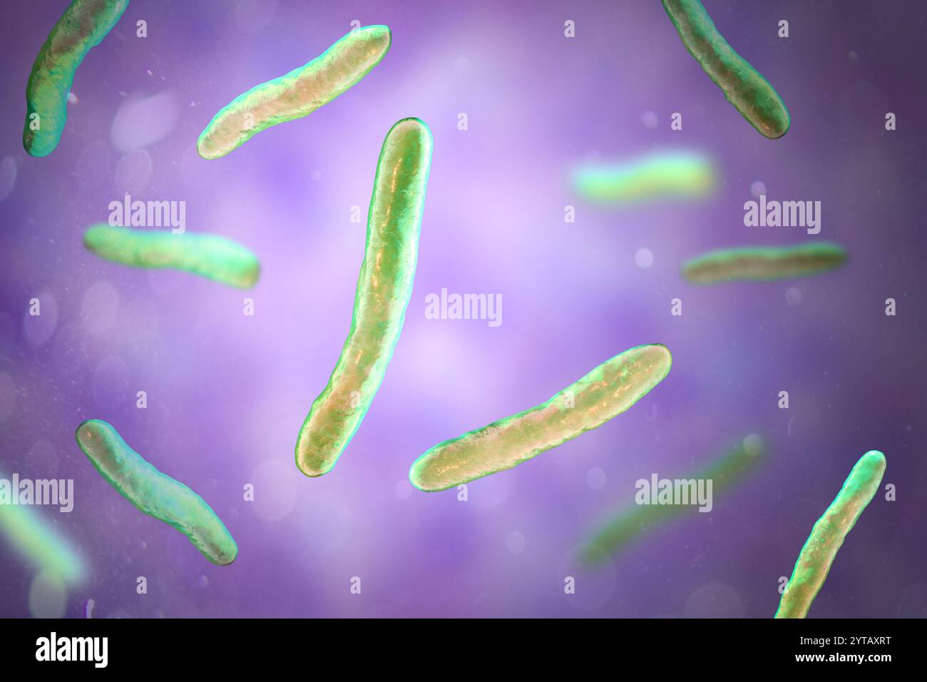 Computer illustration of Mycobacterium tuberculosis, the bacteria ...