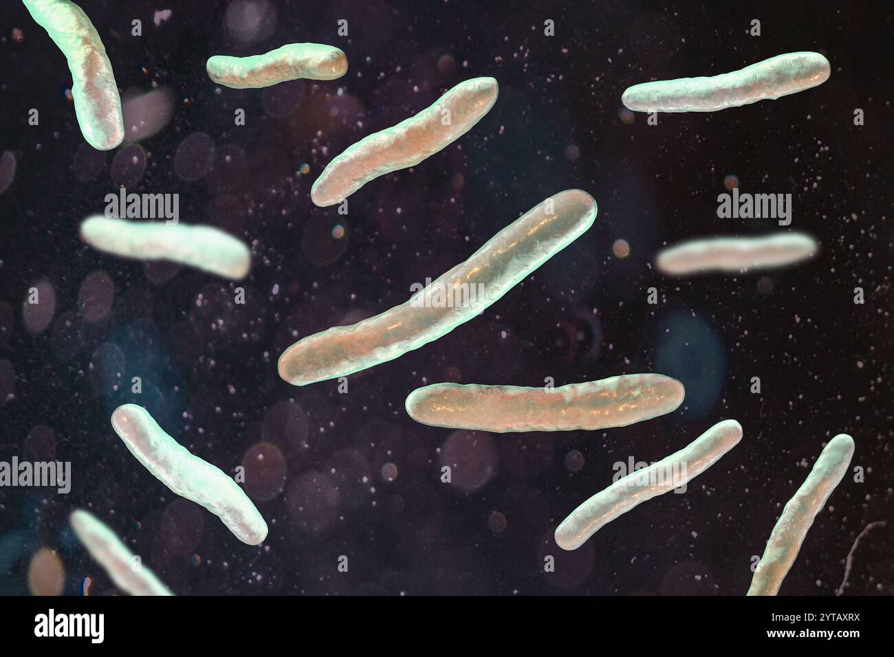 Computer illustration of Mycobacterium tuberculosis, the bacteria ...