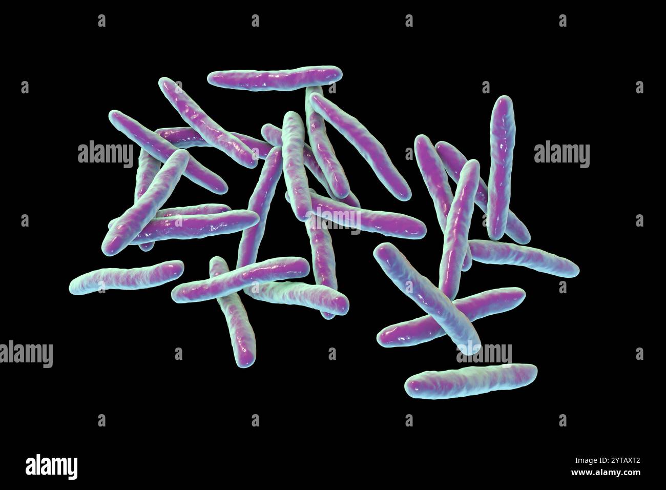 Computer illustration of Mycobacterium tuberculosis, the bacteria ...