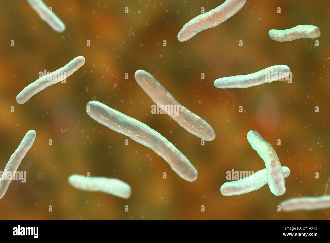 Computer illustration of Mycobacterium tuberculosis, the bacteria ...