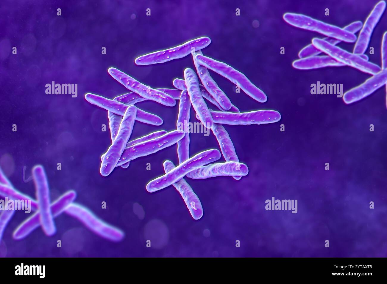 Computer illustration of Mycobacterium tuberculosis, the bacteria ...