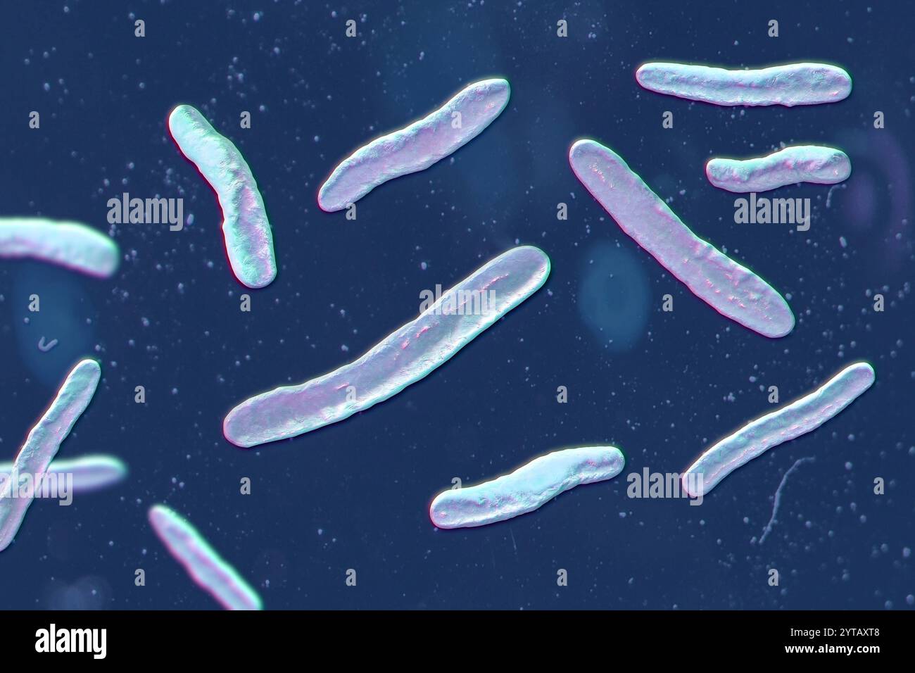 Computer illustration of Mycobacterium tuberculosis, the bacteria ...