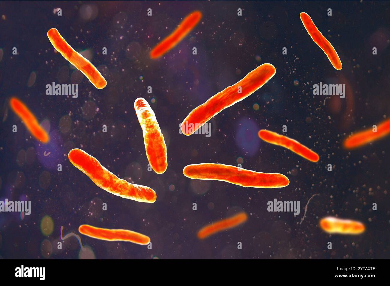Computer illustration of Mycobacterium tuberculosis, the bacteria ...