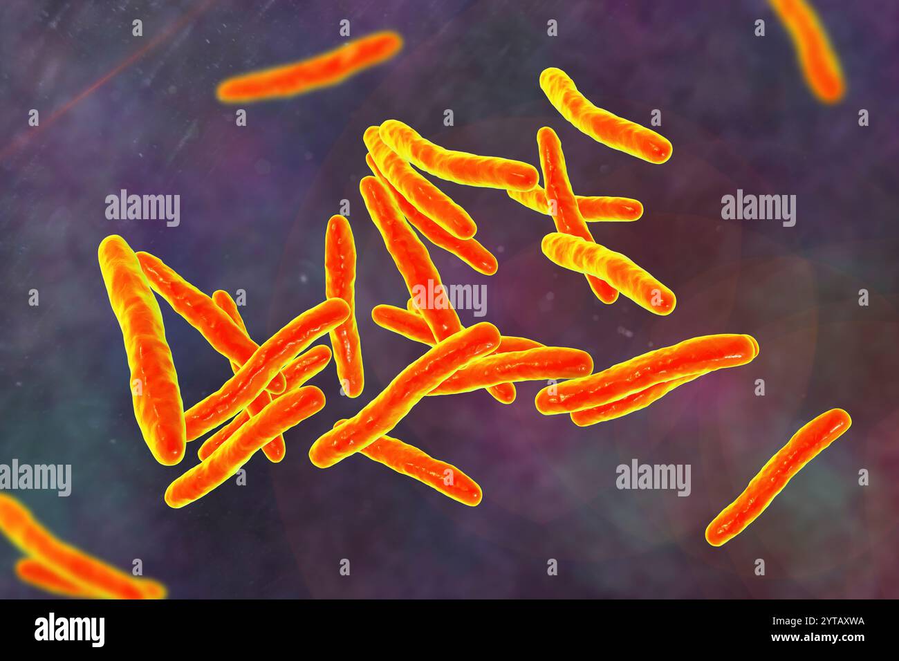 Computer illustration of Mycobacterium tuberculosis, the bacteria ...