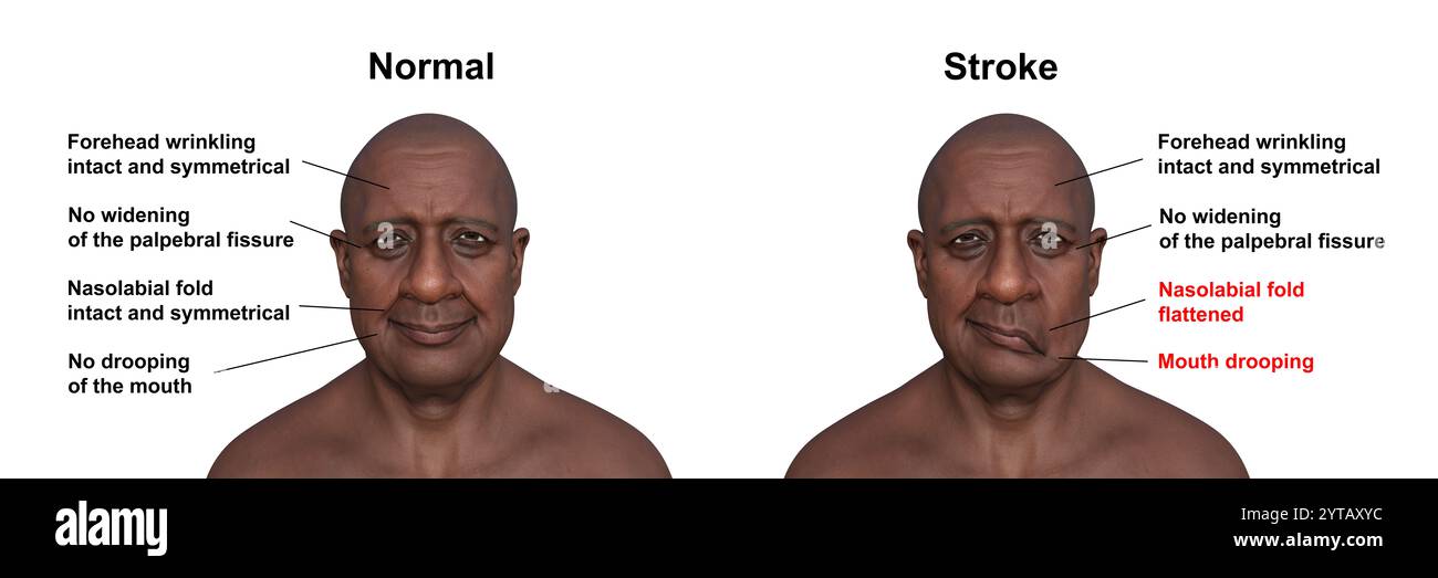 Senior left Cut Out Stock Images & Pictures - Alamy