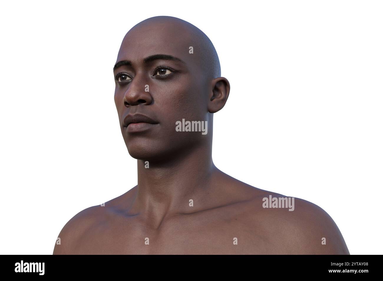 Computer illustration of a man's face and neck Stock Photo - Alamy