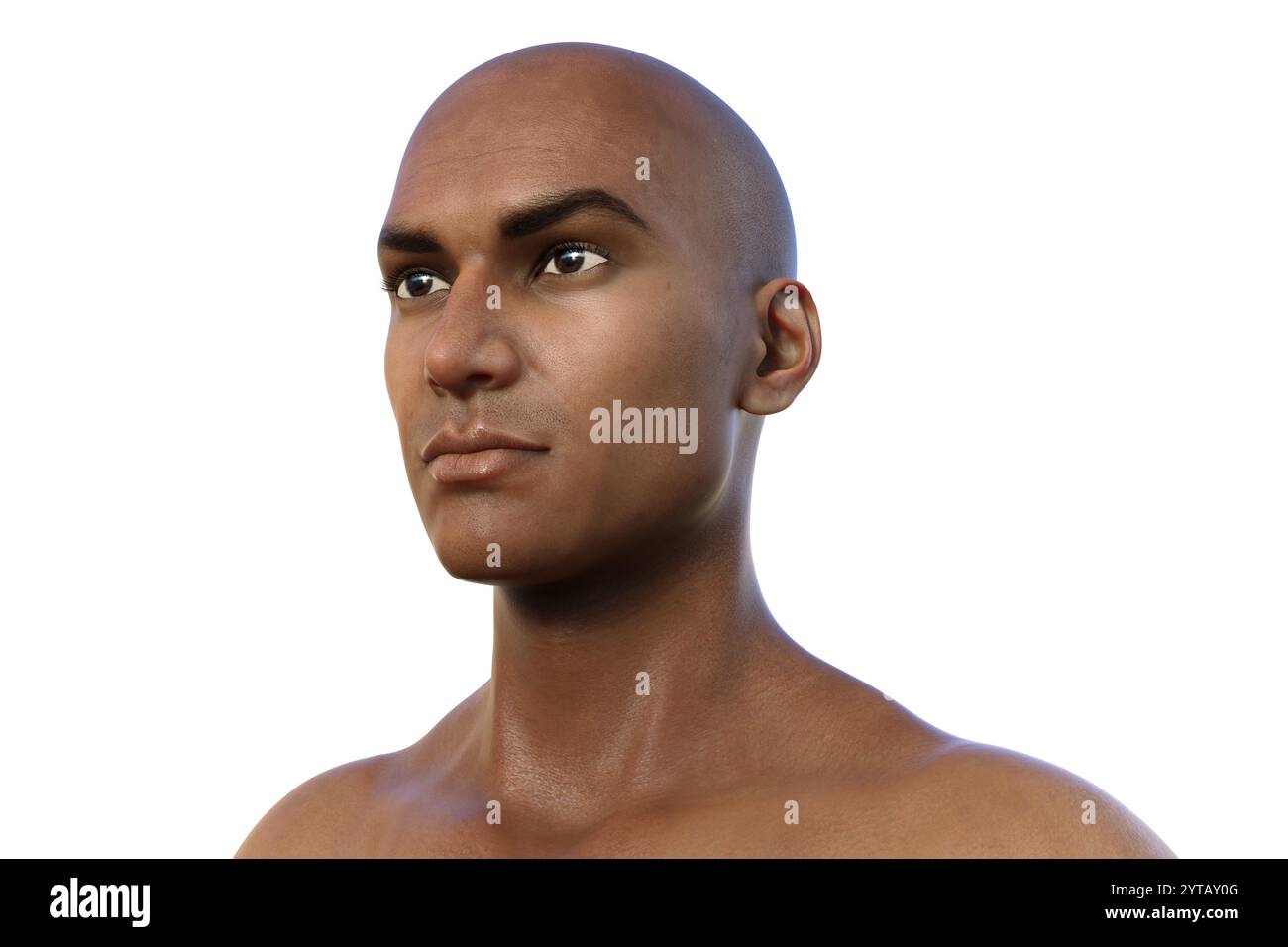 Computer illustration of a man's face and neck Stock Photo - Alamy