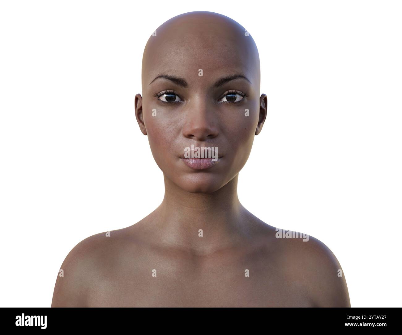 Computer illustration of a young woman's face and neck Stock Photo - Alamy