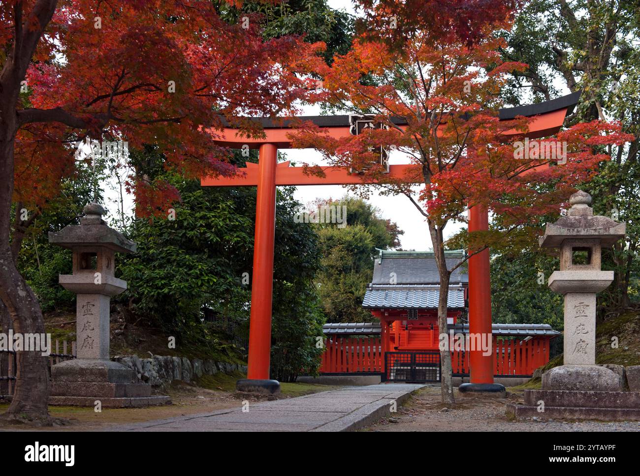 Tenryuji hachimangu shrine hi-res stock photography and images - Alamy