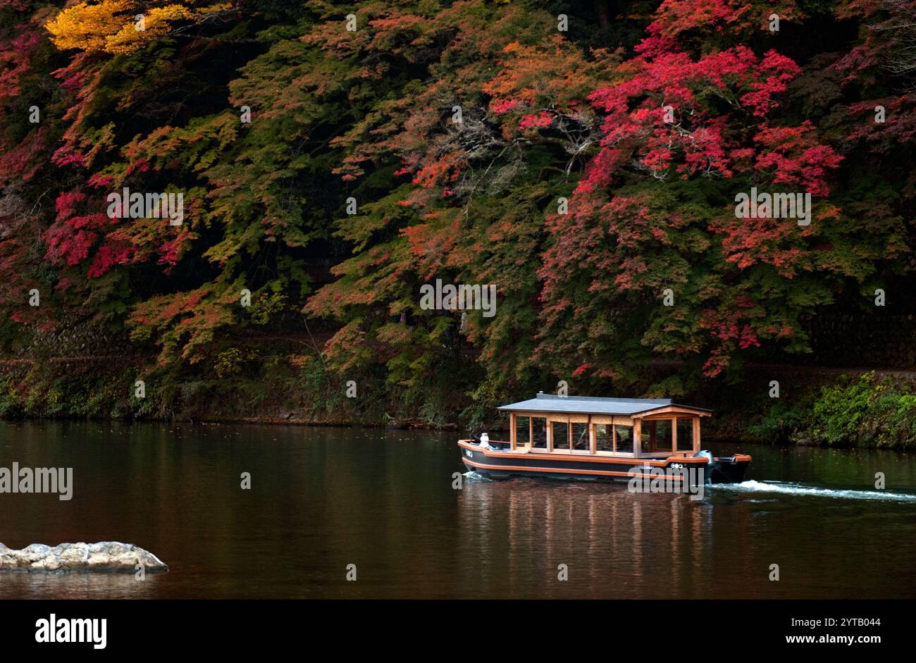 A "yakatabune" (covered pleasure boat) cruises along the Hozugawa River ...