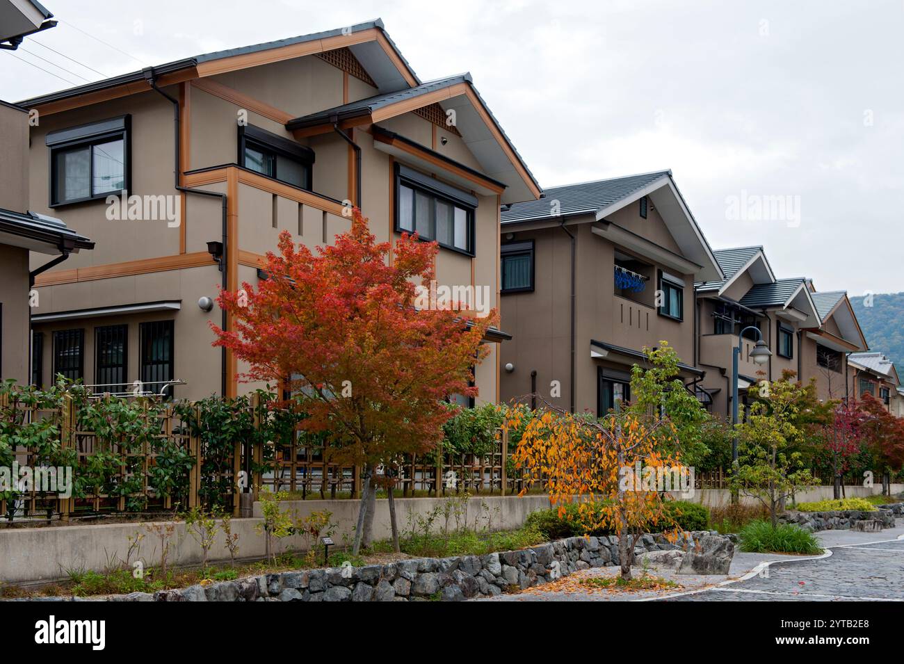 Large, affluent, newly-built single-family residences in a suburban ...