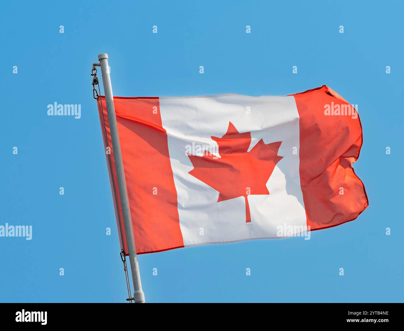 Toronto Canada / A Canadian National Flag flutters in the breeze atop a ...