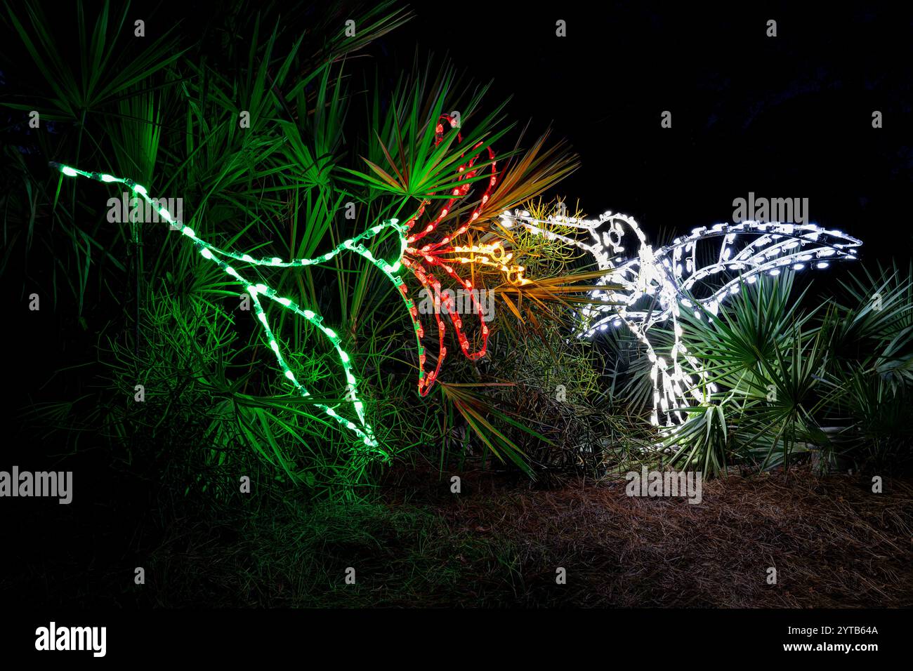 Christmas lights. Port St. Lucie Botanical Gardens. Port St. Lucie ...