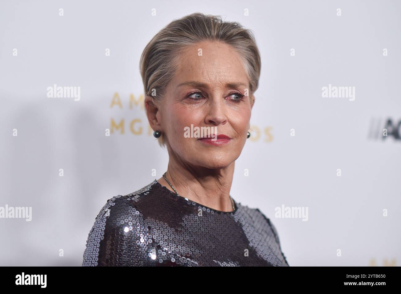Sharon Stone arrives at the 38th American Cinematheque Awards on Friday ...