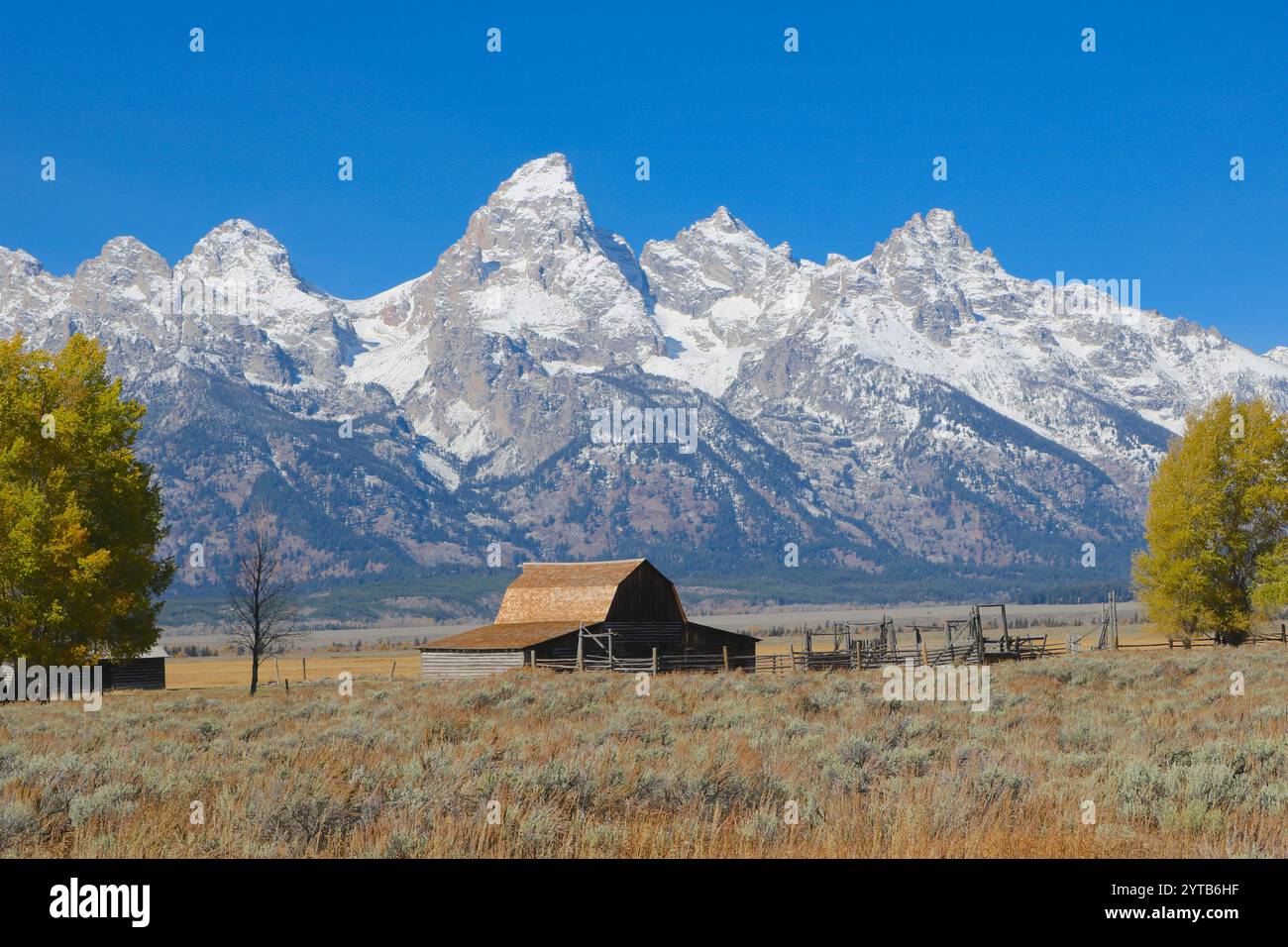 Old rustic Moulton Barn in front of the the Teton mountain range at Grand Teton National Park in ...
