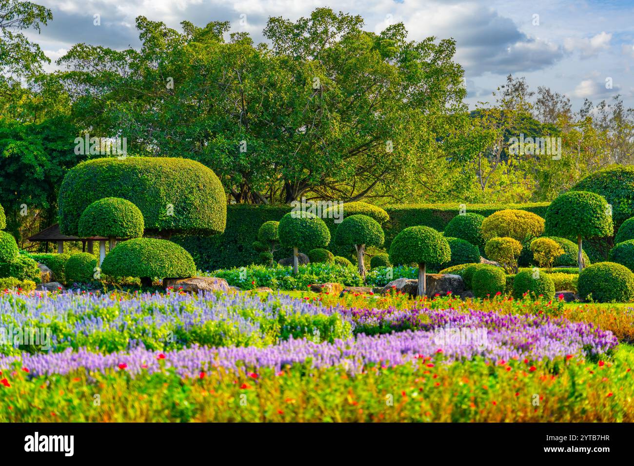English garden trees bushes trimmed in geometric correct shapes ...