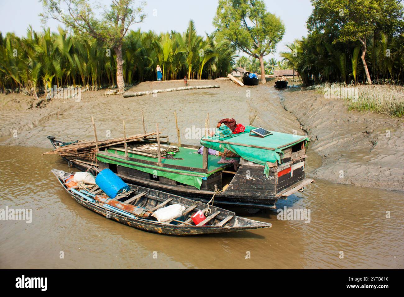 World largest mangrove forest Sundarbans, famous for the Royal Bengal ...