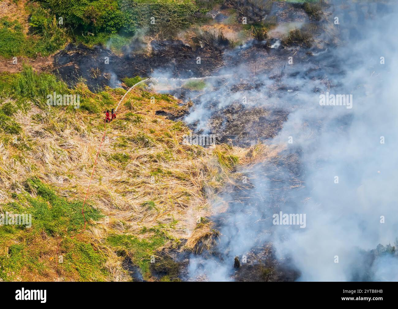 Large-scale fire of dry grass near the forest, extinguished with gifts ...